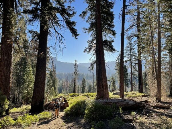 Tehipite Valley Trek – 6-Day Guided Backpacking Sierra Adventure